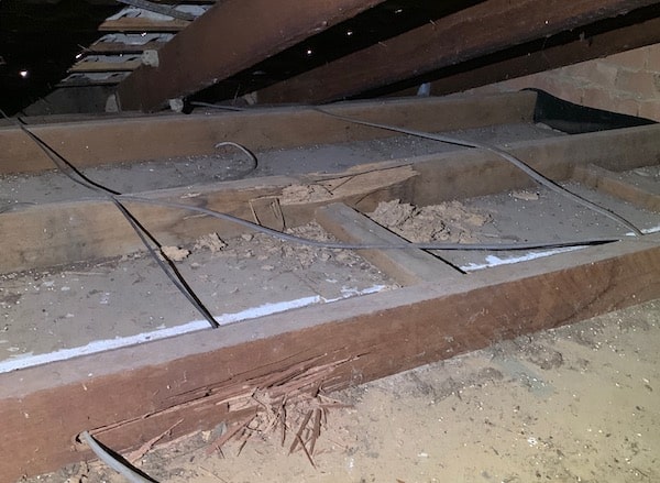 How much does a termite treatment cost? | Pest Doctors