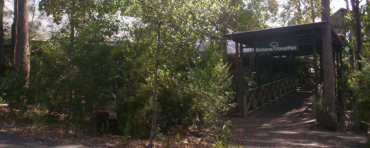 Termite & Pest Control The Gap | Pest Doctors